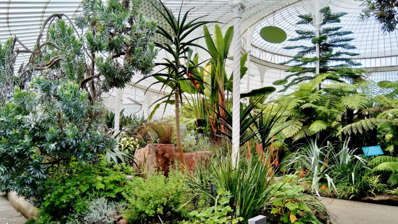 UNFCCC COP 26 CMP 16 CMA 3 in Glasgow - International Peatland Society