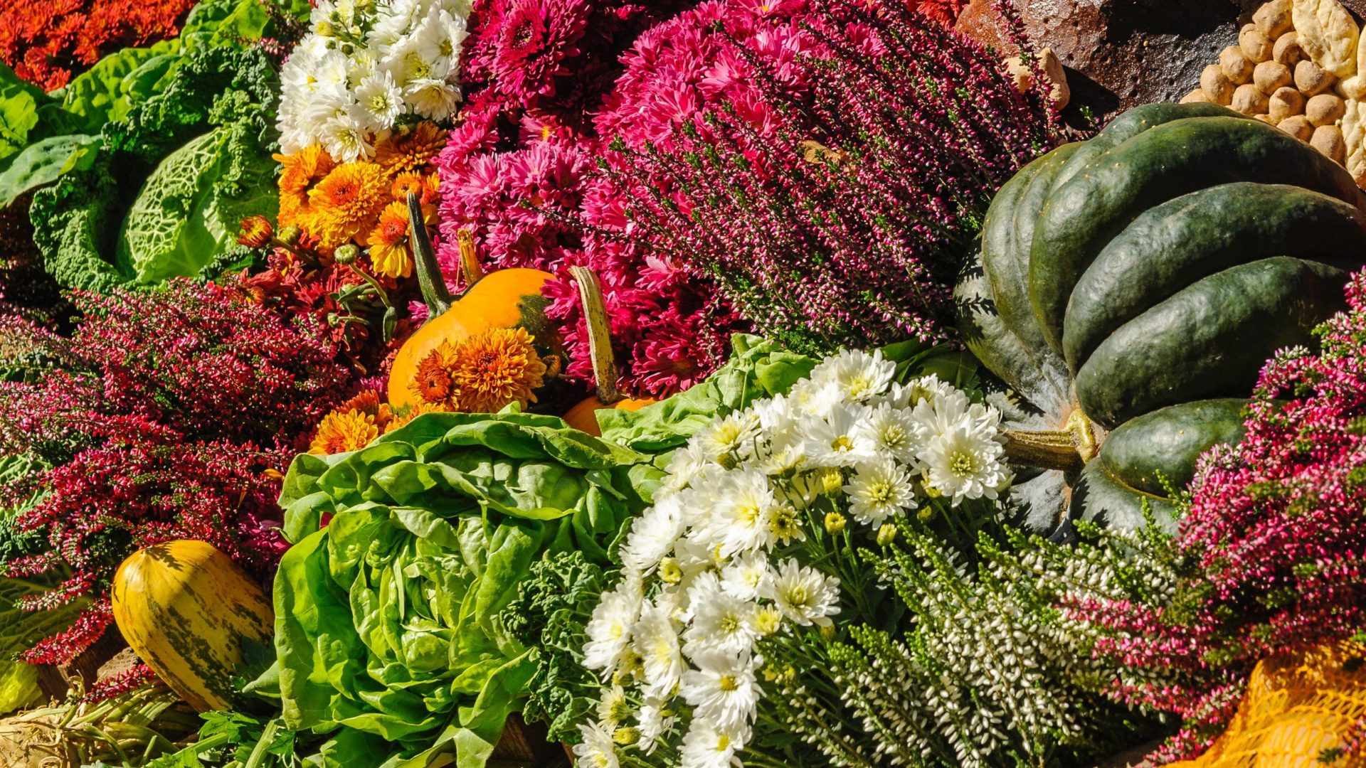 GME: Farm-to-Fork: What role for modern horticulture? - International ...